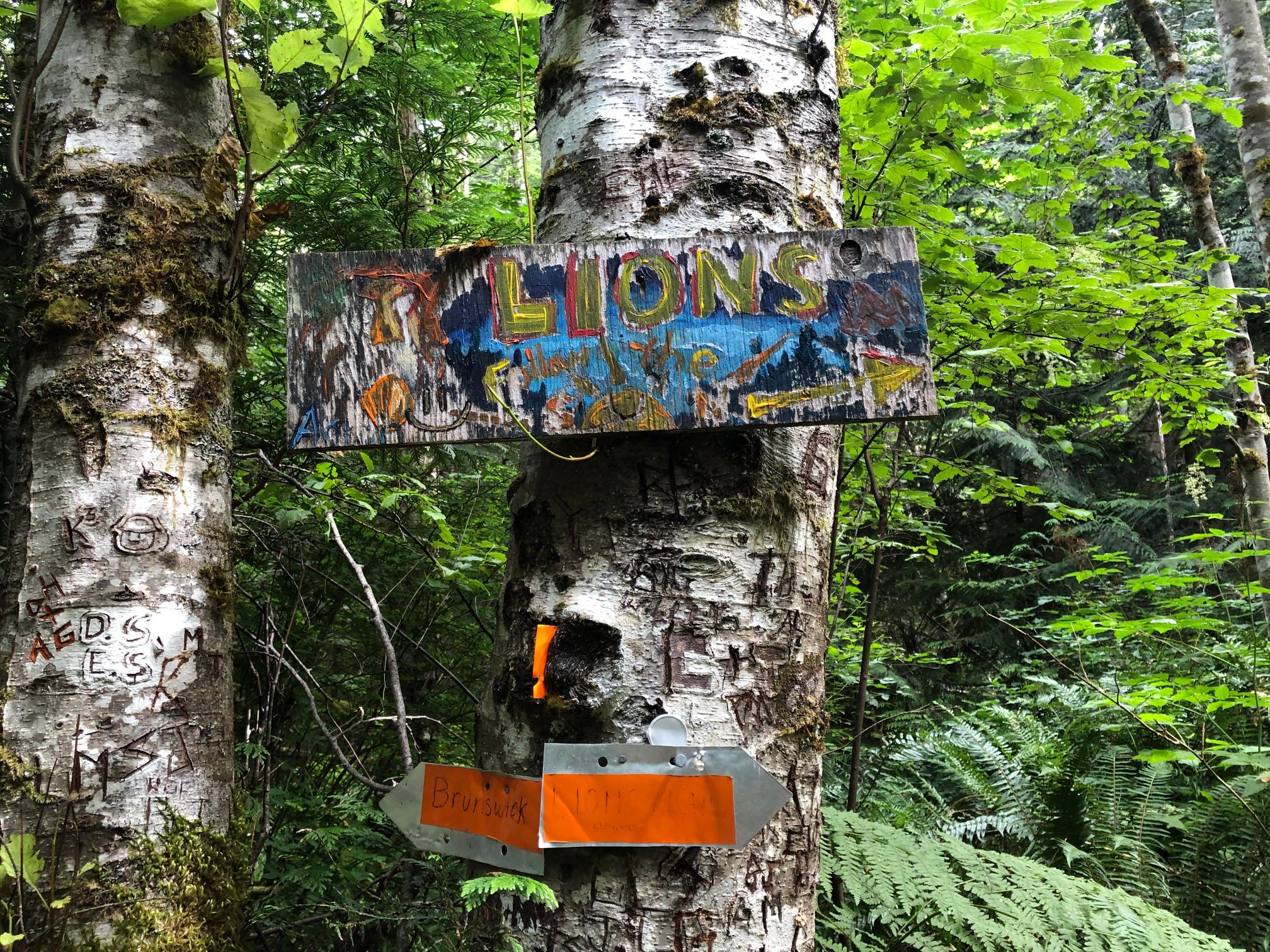Tunnel Bluffs Hike at Lions Bay - Shashi Shanbhag