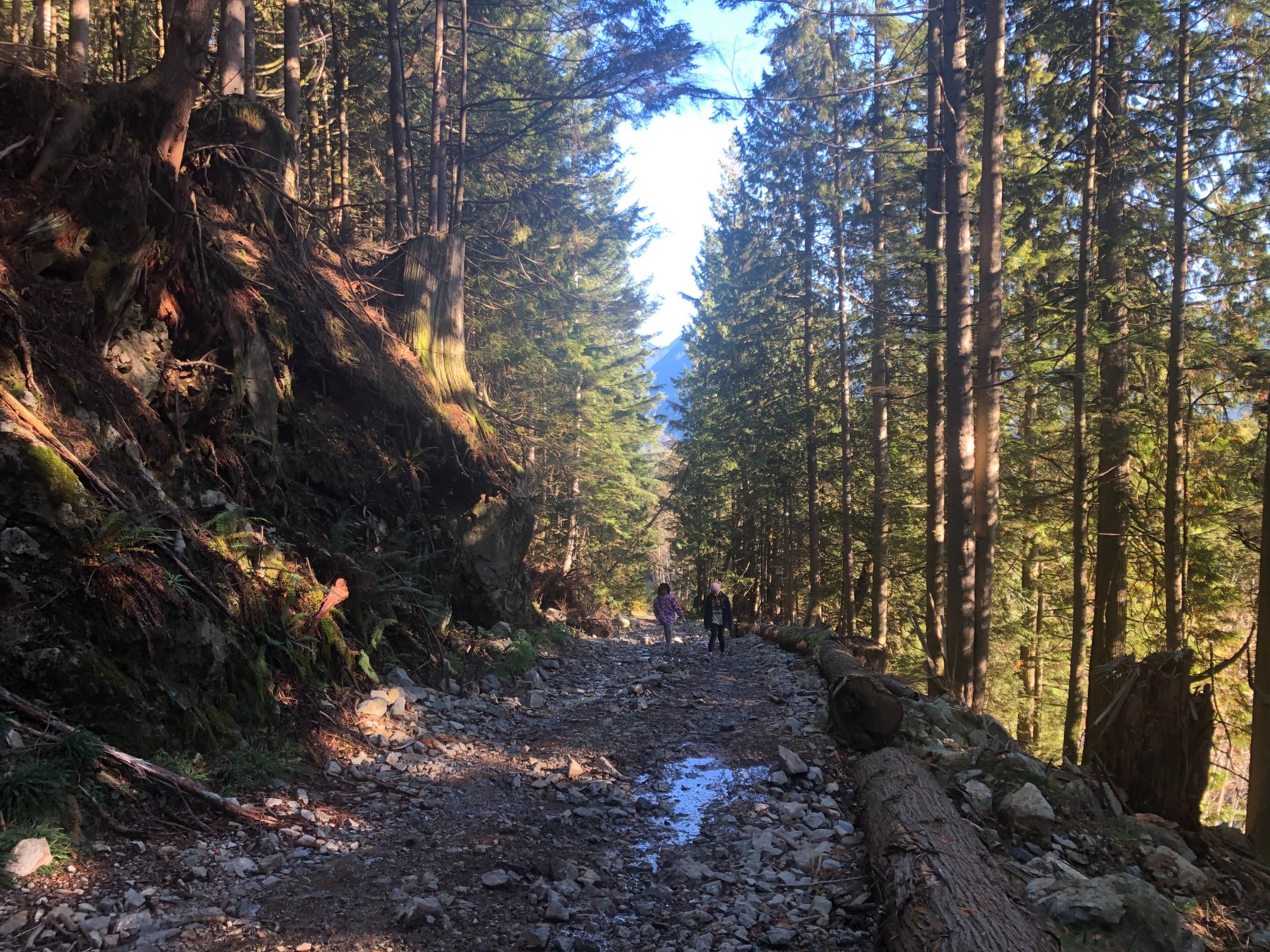 Cypress Lake Family Hike - Shashi Shanbhag