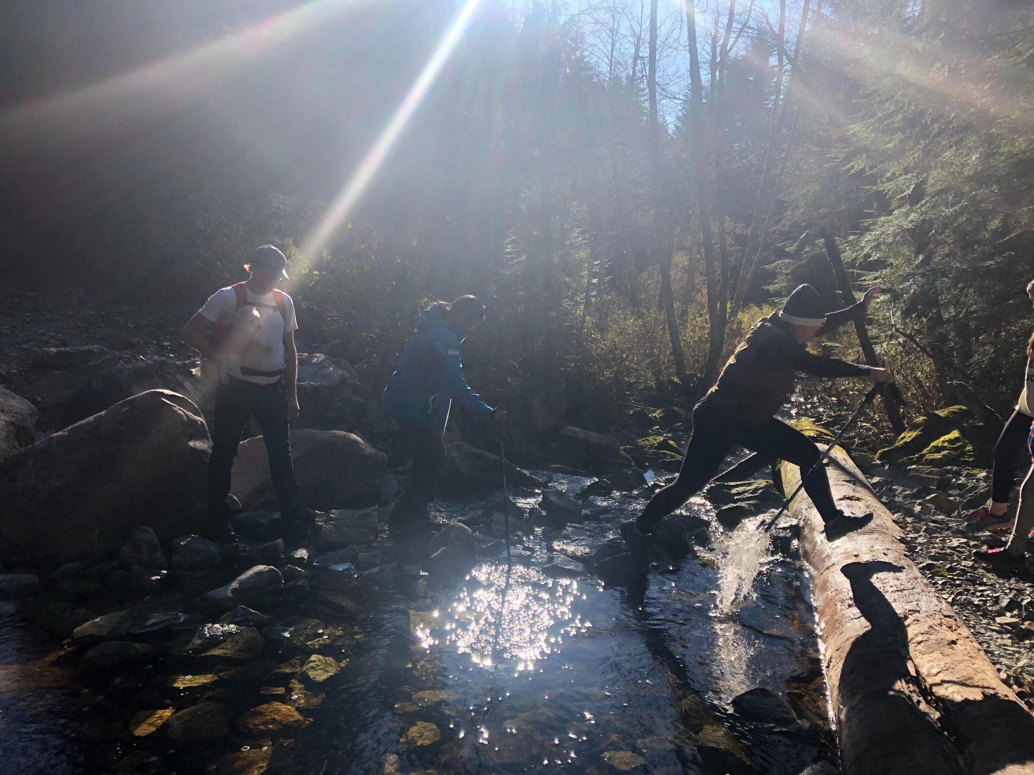 Cypress Lake Family Hike - Shashi Shanbhag