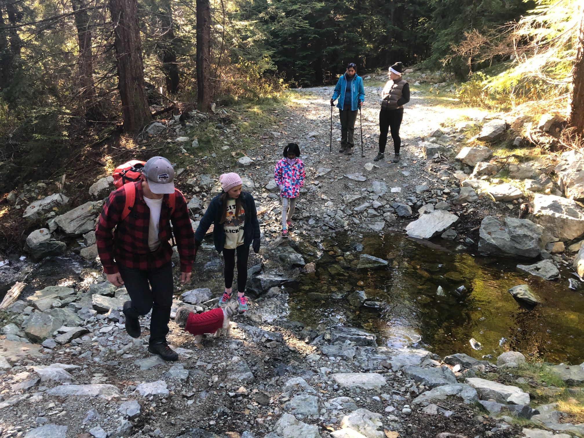 Cypress Lake Family Hike - Shashi Shanbhag