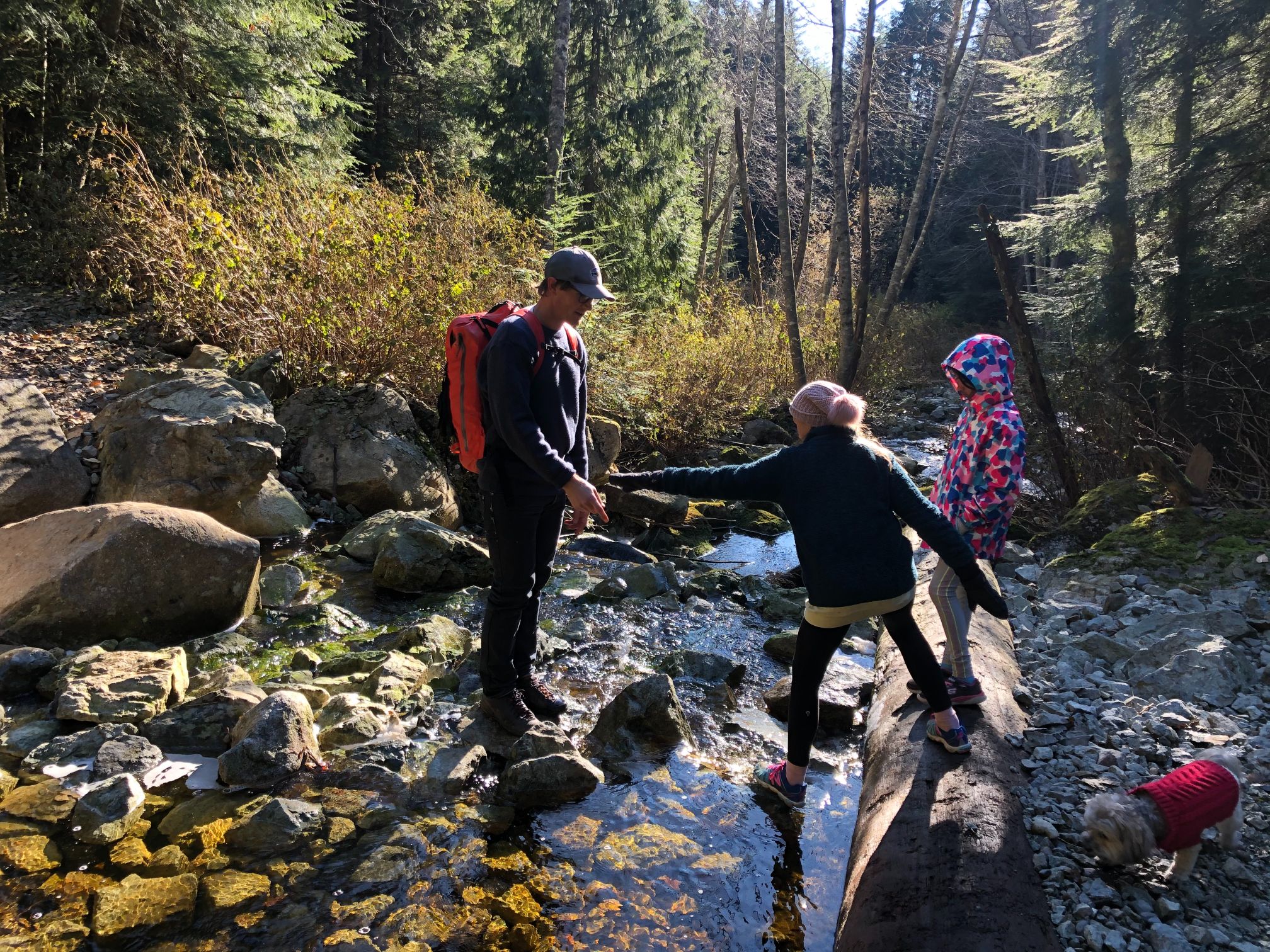 Cypress Lake Family Hike - Shashi Shanbhag