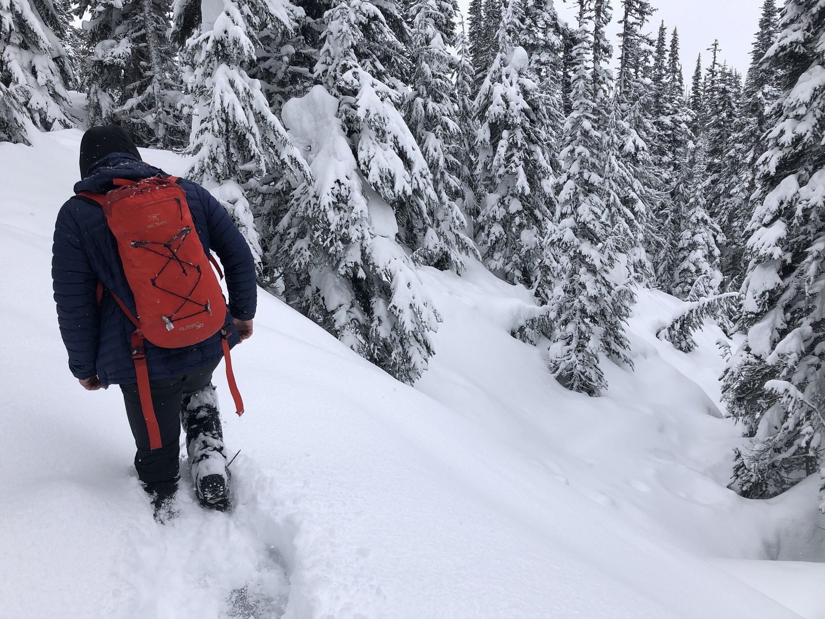 Snowshoeing Taylor Meadows-Garibaldi Lake Loop - Shashi Shanbhag