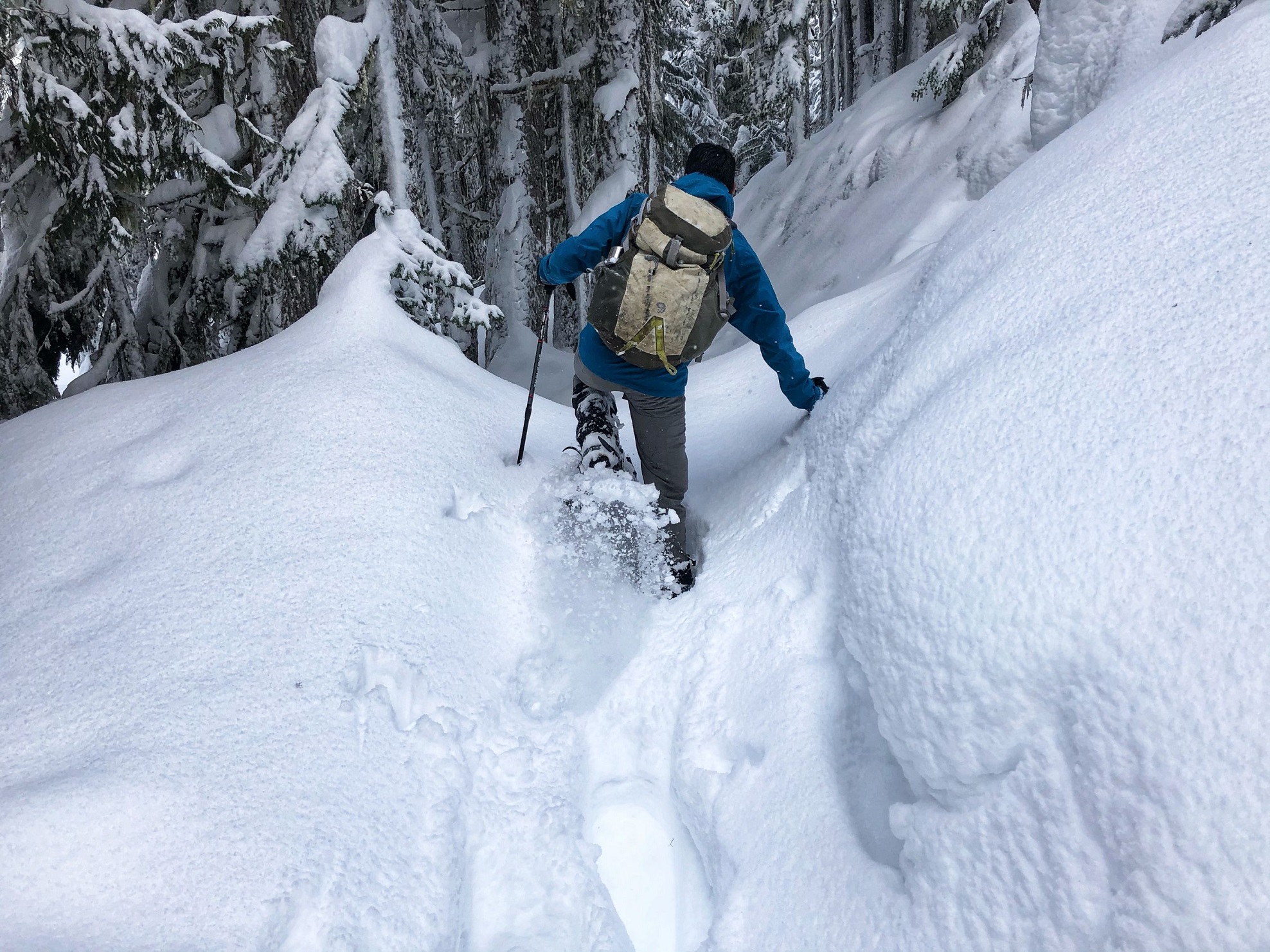 Snowshoeing Taylor Meadows-Garibaldi Lake Loop - Shashi Shanbhag