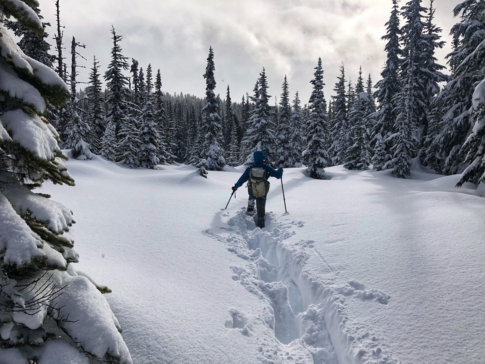 Snowshoeing Taylor Meadows-Garibaldi Lake Loop - Shashi Shanbhag