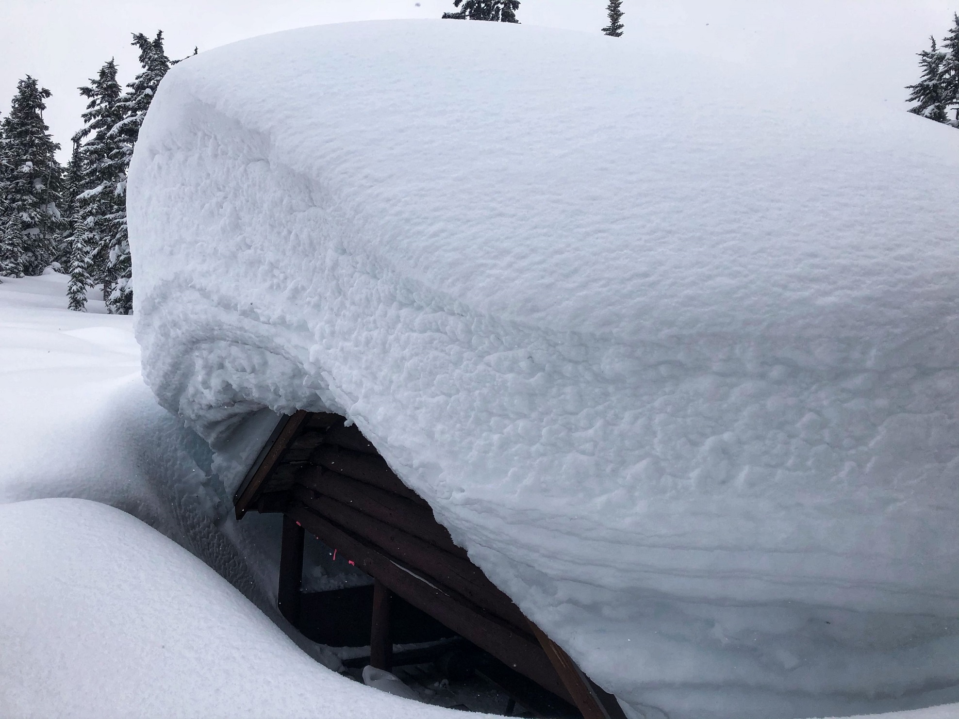 Snowshoeing Taylor Meadows-Garibaldi Lake Loop - Shashi Shanbhag