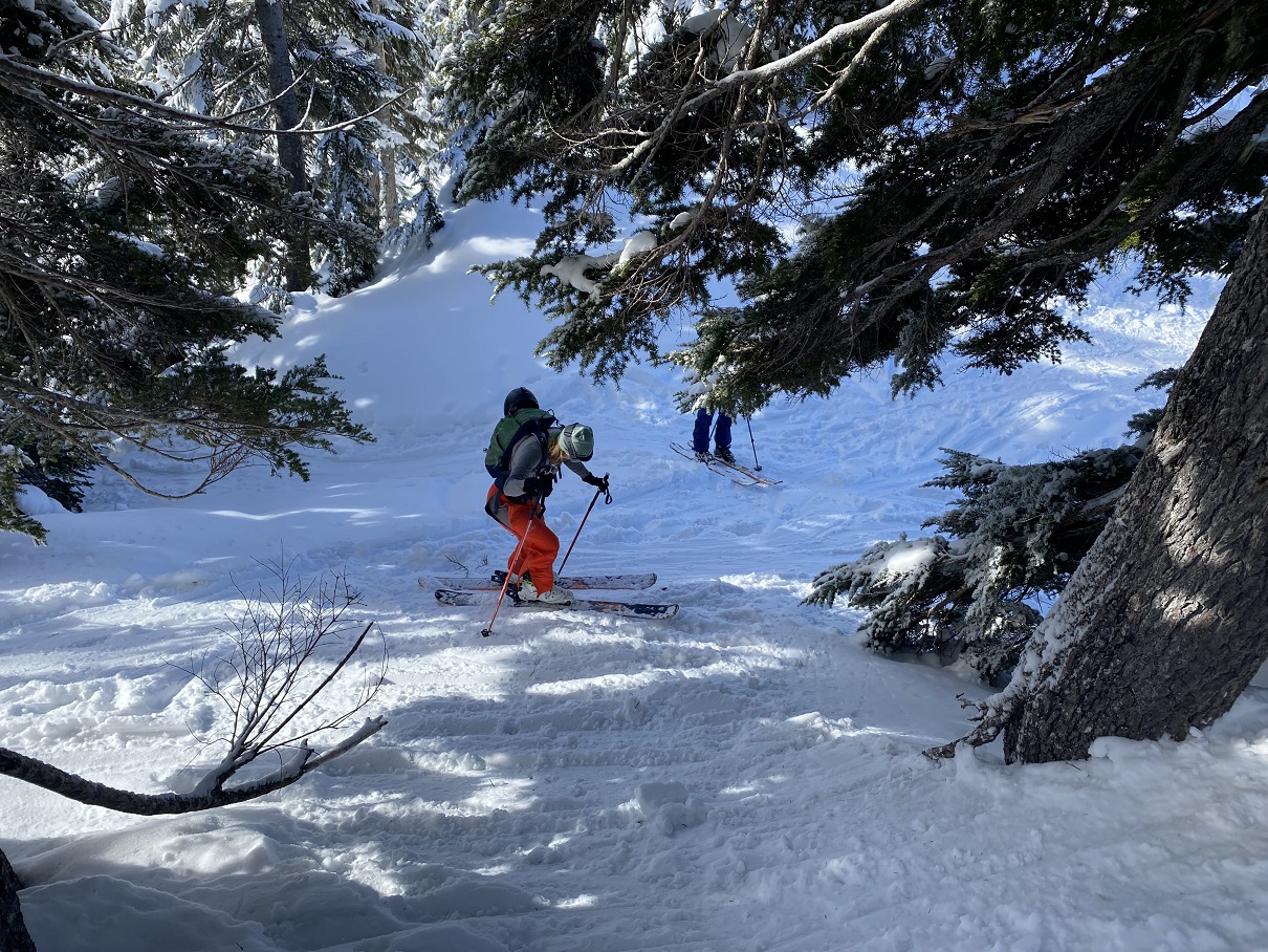 Red Heather Hut-Round Mountain Backcountry Skiing - Shashi Shanbhag